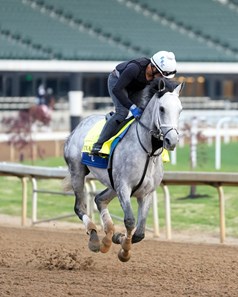 Final Gambit - Horse Profile - BloodHorse