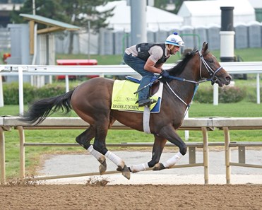 Render Judgment - Horse Profile - BloodHorse