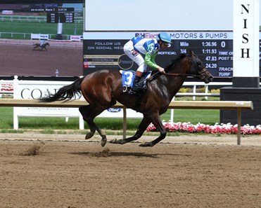 So Sandy - Horse Profile - BloodHorse