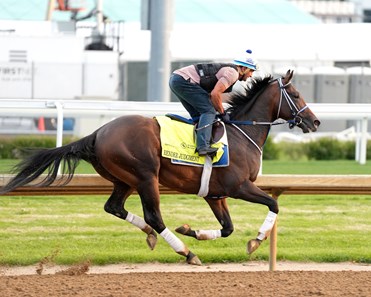 Render Judgment - Horse Profile - BloodHorse