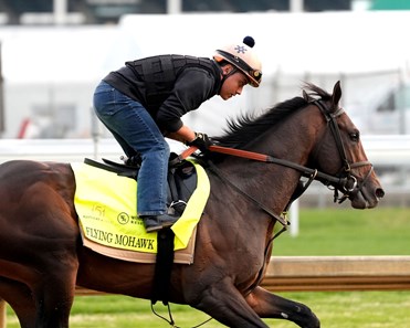Flying Mohawk - Horse Profile - BloodHorse