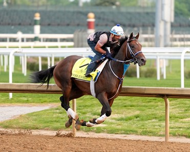 Render Judgment - Horse Profile - BloodHorse
