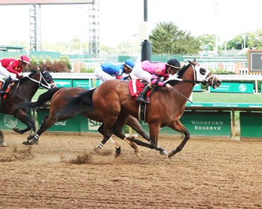 Shape Note - Horse Profile - BloodHorse