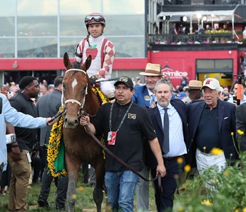 Journalism - Horse Profile - BloodHorse