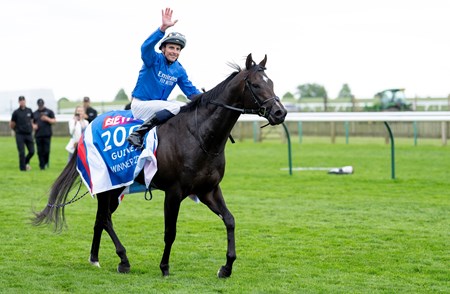 Ruling Court - Horse Profile - BloodHorse