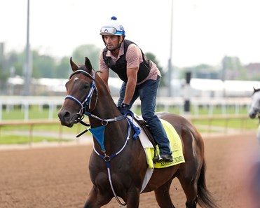 Render Judgment - Horse Profile - BloodHorse