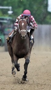 Journalism - Horse Profile - BloodHorse