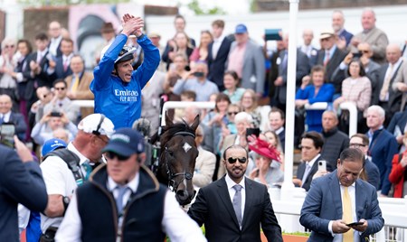 Ruling Court - Horse Profile - BloodHorse