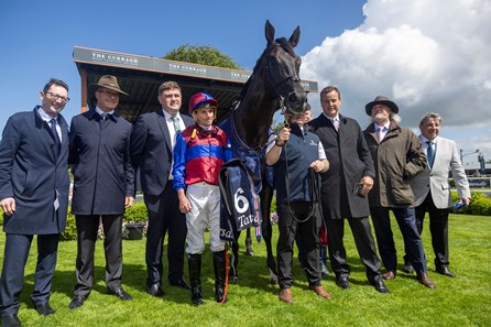 Los Angeles (IRE) - Horse Profile - BloodHorse