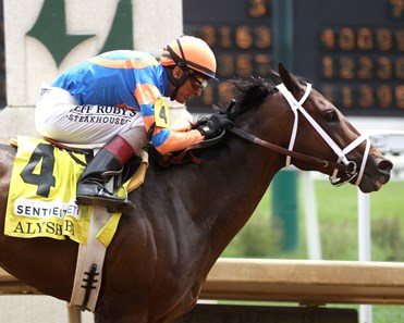 Fierceness - Horse Profile - BloodHorse