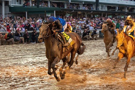 Sovereignty - Horse Profile - BloodHorse