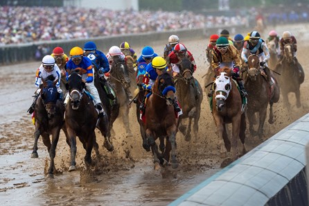 Sovereignty - Horse Profile - BloodHorse