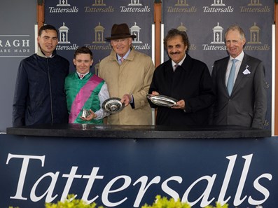 Field of Gold (IRE) - Horse Profile - BloodHorse