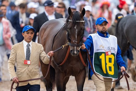 Sovereignty - Horse Profile - BloodHorse