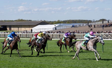 Field of Gold (IRE) - Horse Profile - BloodHorse