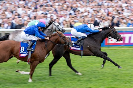 Ruling Court - Horse Profile - BloodHorse