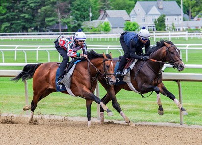 Chancer McPatrick - Horse Profile - BloodHorse