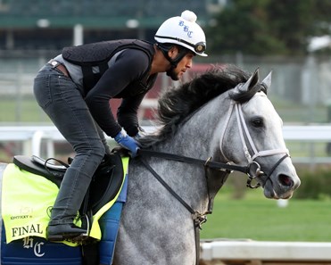 Final Gambit - Horse Profile - BloodHorse
