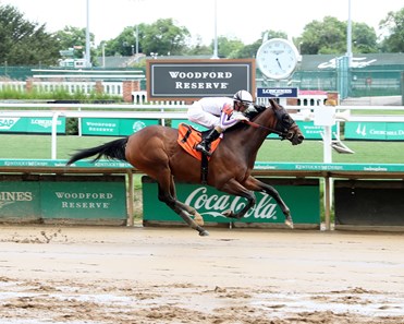 Zadorsky - Horse Profile - BloodHorse