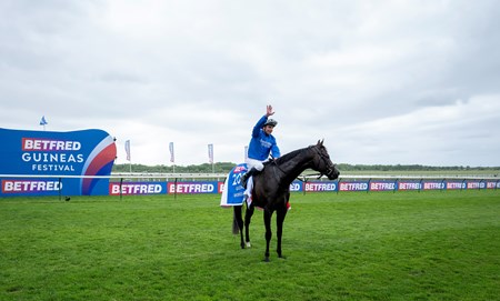 Ruling Court - Horse Profile - BloodHorse