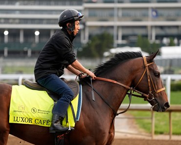 Luxor Cafe - Horse Profile - BloodHorse