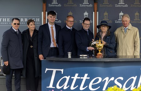 Los Angeles (IRE) - Horse Profile - BloodHorse