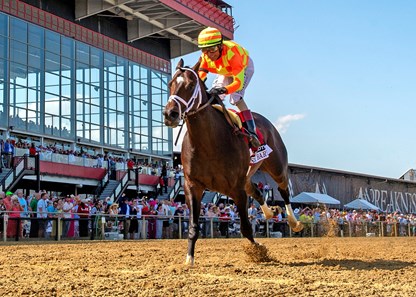 Crudo - Horse Profile - BloodHorse