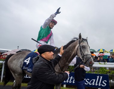 Field of Gold (IRE) - Horse Profile - BloodHorse