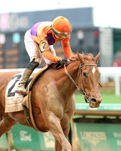 Kopion - Horse Profile - BloodHorse