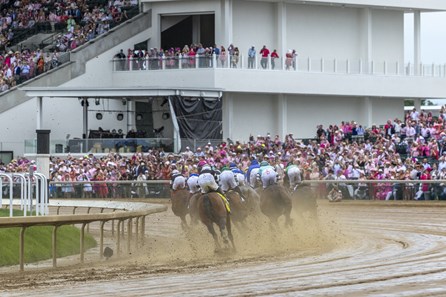 Good Cheer - Horse Profile - BloodHorse