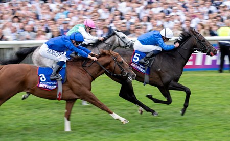 Ruling Court - Horse Profile - BloodHorse