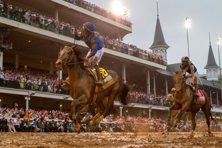 Sovereignty - Horse Profile - BloodHorse