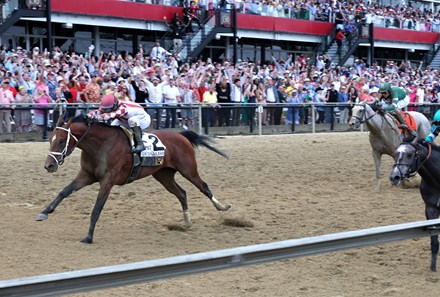 Journalism - Horse Profile - BloodHorse