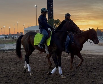 Sovereignty - Horse Profile - BloodHorse