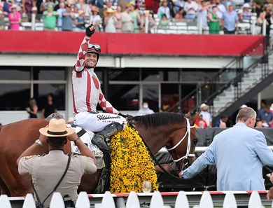 Journalism - Horse Profile - BloodHorse