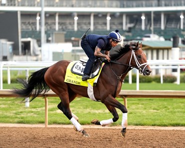 Grande - Horse Profile - BloodHorse