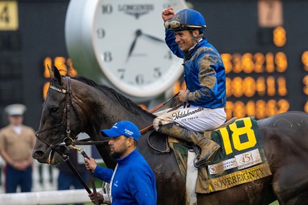 Sovereignty - Horse Profile - BloodHorse