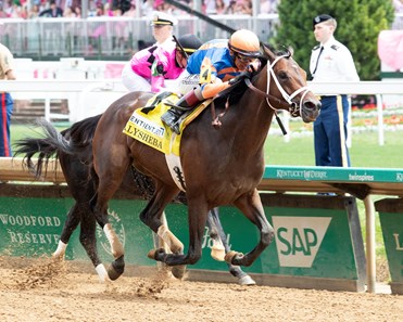 Fierceness - Horse Profile - BloodHorse