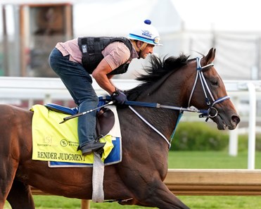 Render Judgment - Horse Profile - BloodHorse
