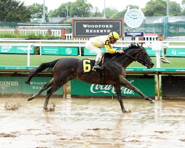 Litigation - Horse Profile - BloodHorse
