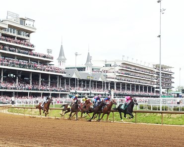 Fierceness - Horse Profile - BloodHorse