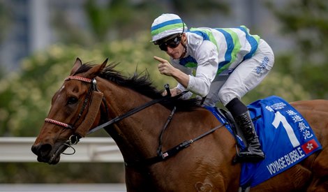 Voyage Bubble Completes Sweep of Hong Kong Triple Crown - BloodHorse