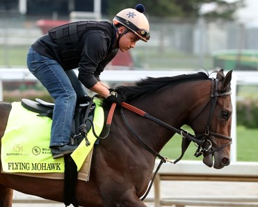 Flying Mohawk - Horse Profile - BloodHorse