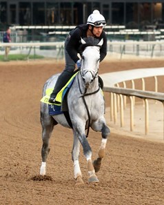 Final Gambit - Horse Profile - BloodHorse