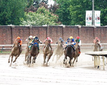 Kopion - Horse Profile - BloodHorse