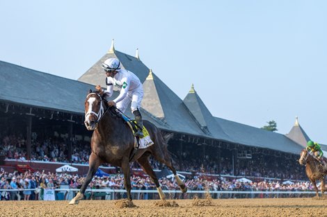 Patch Adams Retired, to Stand at WinStar in 2026 - BloodHorse