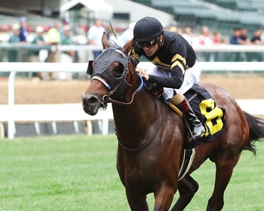 Native Runner - Horse Profile - BloodHorse