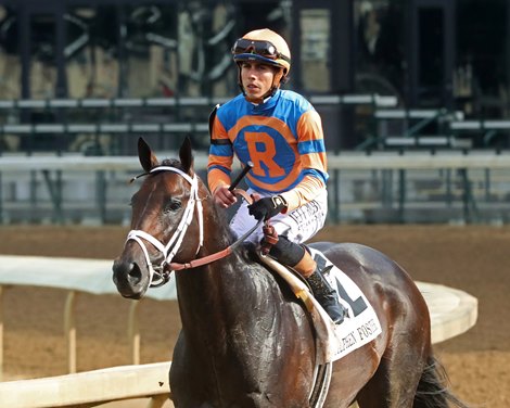 Mindframe New No. 1 in NTRA Top Thoroughbred Poll - BloodHorse