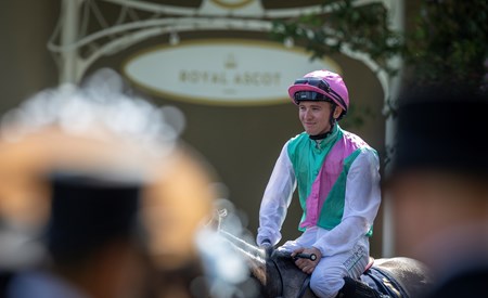 Field of Gold (IRE) - Horse Profile - BloodHorse