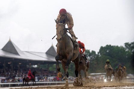 Parchment Party - Horse Profile - BloodHorse